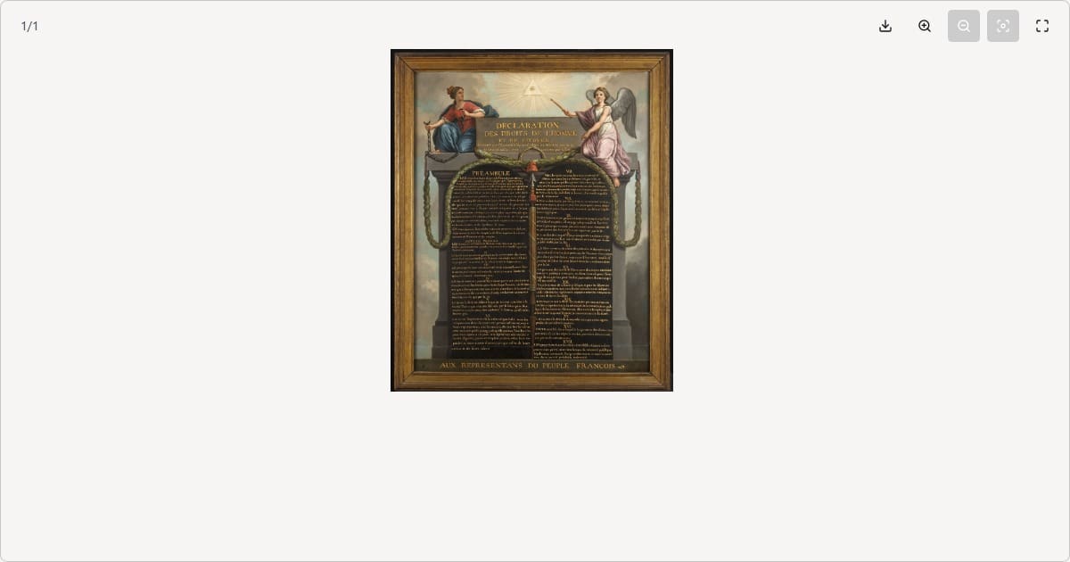Analysis of Declaration of the Rights of Man and of the Citizen ...