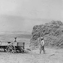 Men and wagon work near a tall haystack - DocsTeach