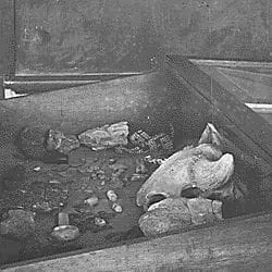 Display of Indian relics - DocsTeach