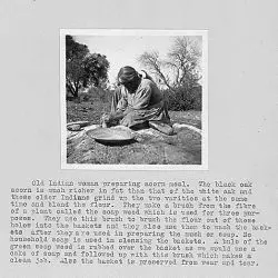 Photograph with text showing Native American woman preparing acorn meal ...