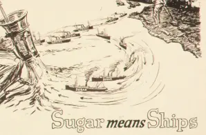 Sugar means Ships. The consumption of Sugar Sweetened drinks Must Be ...