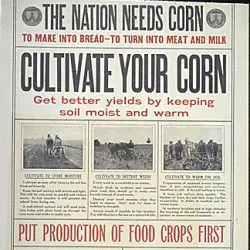 The Nation Needs Corn...Cultivate Your Corn...Put Production of Food ...