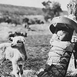 Navajo papoose on a cradleboard with a lamb approaching, Window Rock ...