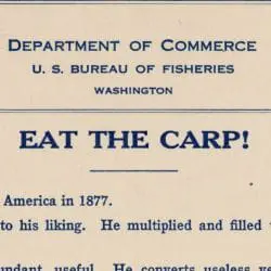 Eat the Carp - DocsTeach