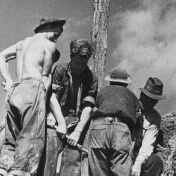 CCC boys at work, Prince George Co., VA - DocsTeach