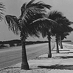 Photograph of the famous Keys Highway between Boca Chica and Key West ...
