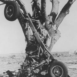 Car wrapped around large tree by tornado. Udall, Kansas - DocsTeach