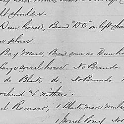 Description of Stock Stolen by Indians from David Cottner, Manuel ...