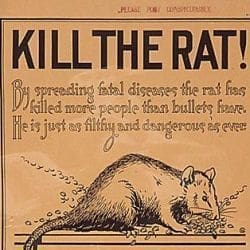 Kill The Rat!... The Most Destructive and Dangerous of Animal Pests ...