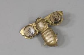 'Gold Bug' Pin - DocsTeach