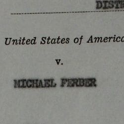 Judgment for Michael Ferber - DocsTeach