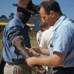 Photograph of Participants in the Tuskegee Syphilis Study - DocsTeach