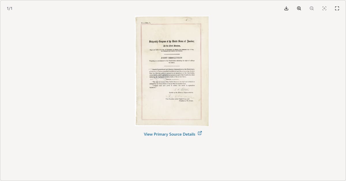19th Amendment Document Analysis - DocsTeach